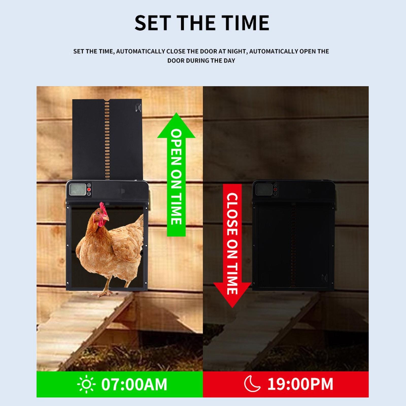 Automata csirke ól elektromos ajtónyitó IP44 vízálló akkumulátorral, érzékelővel, időzítővel és ...
